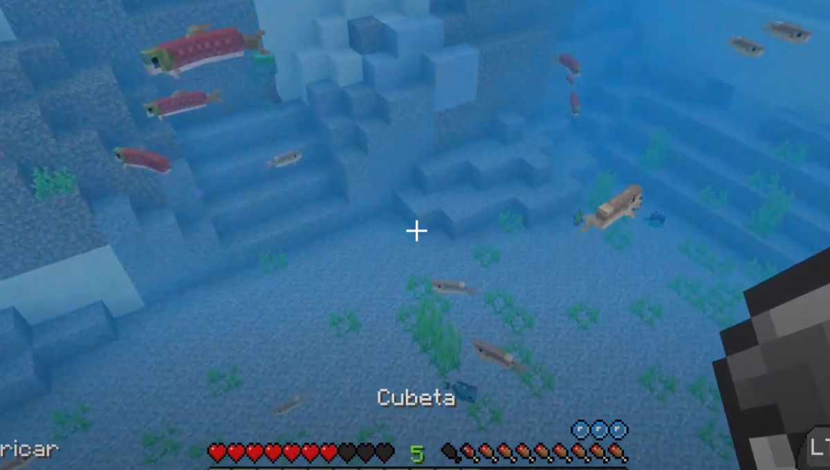 Minecraft: ¿cómo pescar peces con cubeta? - Sonica